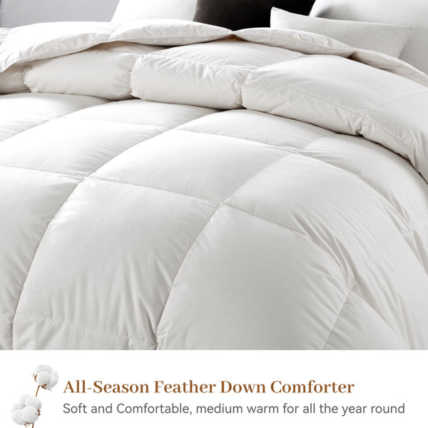 Latitude Run® Soft and Fluffy 100% Organic Cotton Feathers Down Comforter All-Season Duvet ...